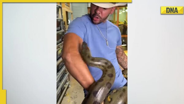 Massive Anaconda bites man in shocking viral video, internet is terrified