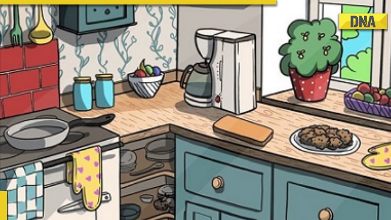 Optical Illusion: Spot the mouse hidden in kitchen within 8 seconds