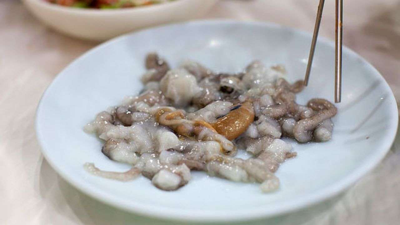 Fried Tarantula Spider, Nested soup: These are the world's most weird ...