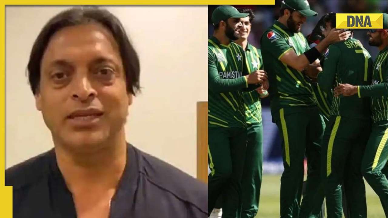 'We will lift the World Cup in India', says Shoaib Akhtar after England ...