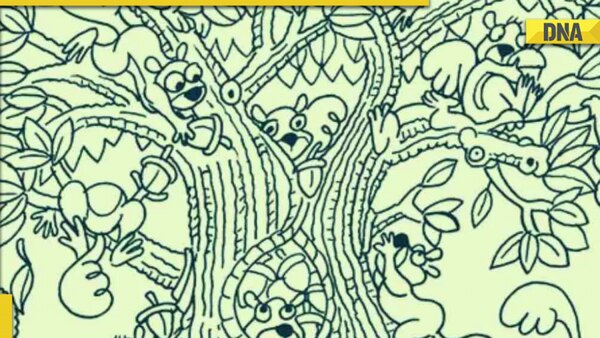 Optical Illusion: Spot the alligator hidden among these squirrels