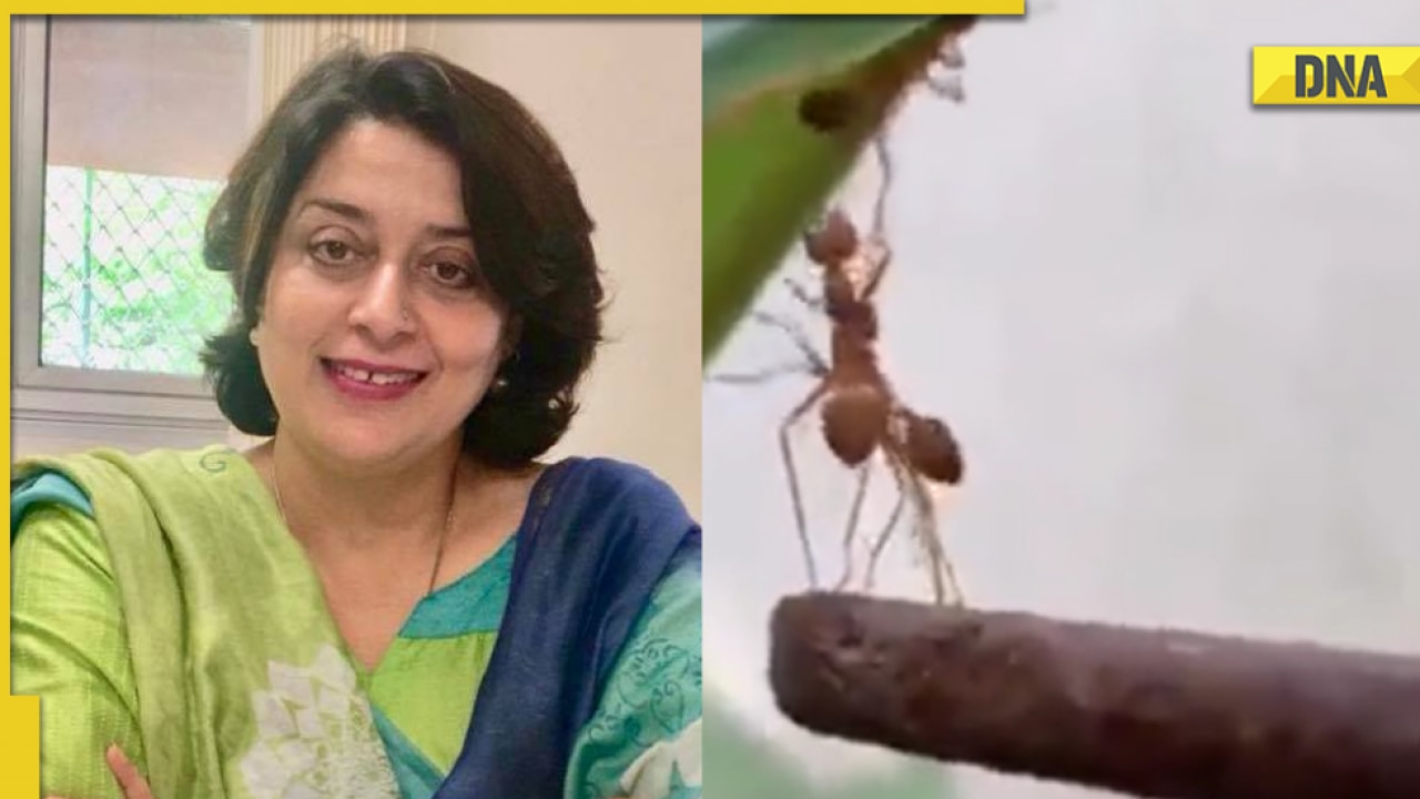 IAS officer shares a thought provoking video and it displays harsh ...