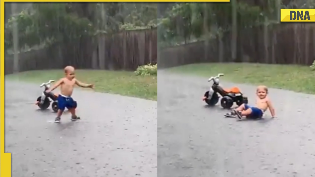 Toddler enjoys rain in viral video, netizens want to join him