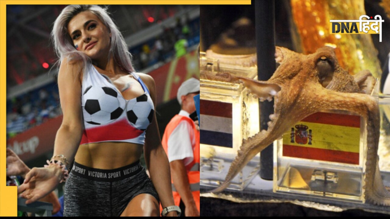 लो अभी से लग गया पता कौन जीतेगा FIFA World Cup 2022, तस्वीरों में समझें पूरा खेल | DNA HINDI