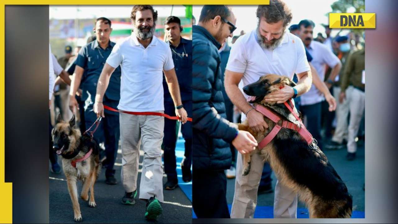 Bharat Jodo Yatra: Rahul Gandhi rides Royal Enfield Bullet in MP, plays ...