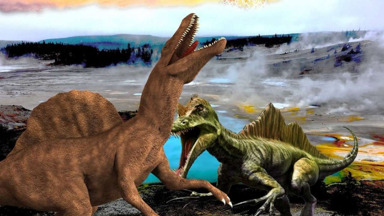 Earth's sixth mass extinction event underway? Scientists predict how ...