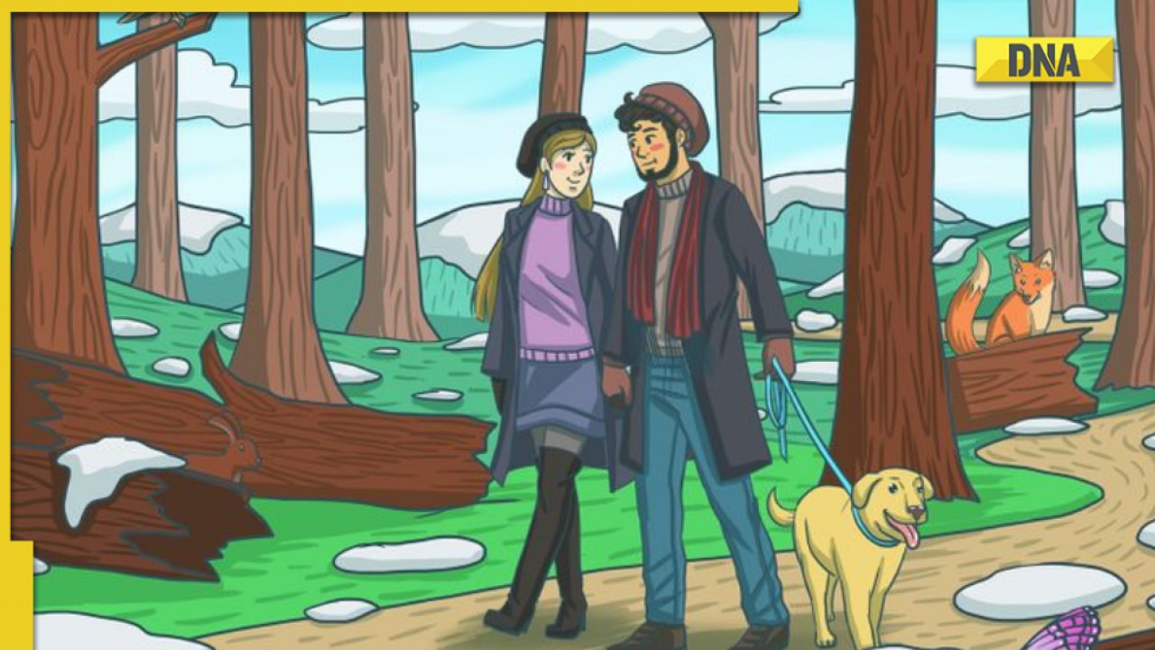 Optical Illusion: Only 1 out of 10 people can spot the hidden rabbit in ...