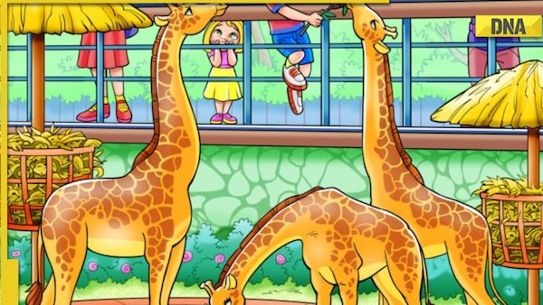 Optical Illusion: We challenge you to spot monkey hidden in THIS image