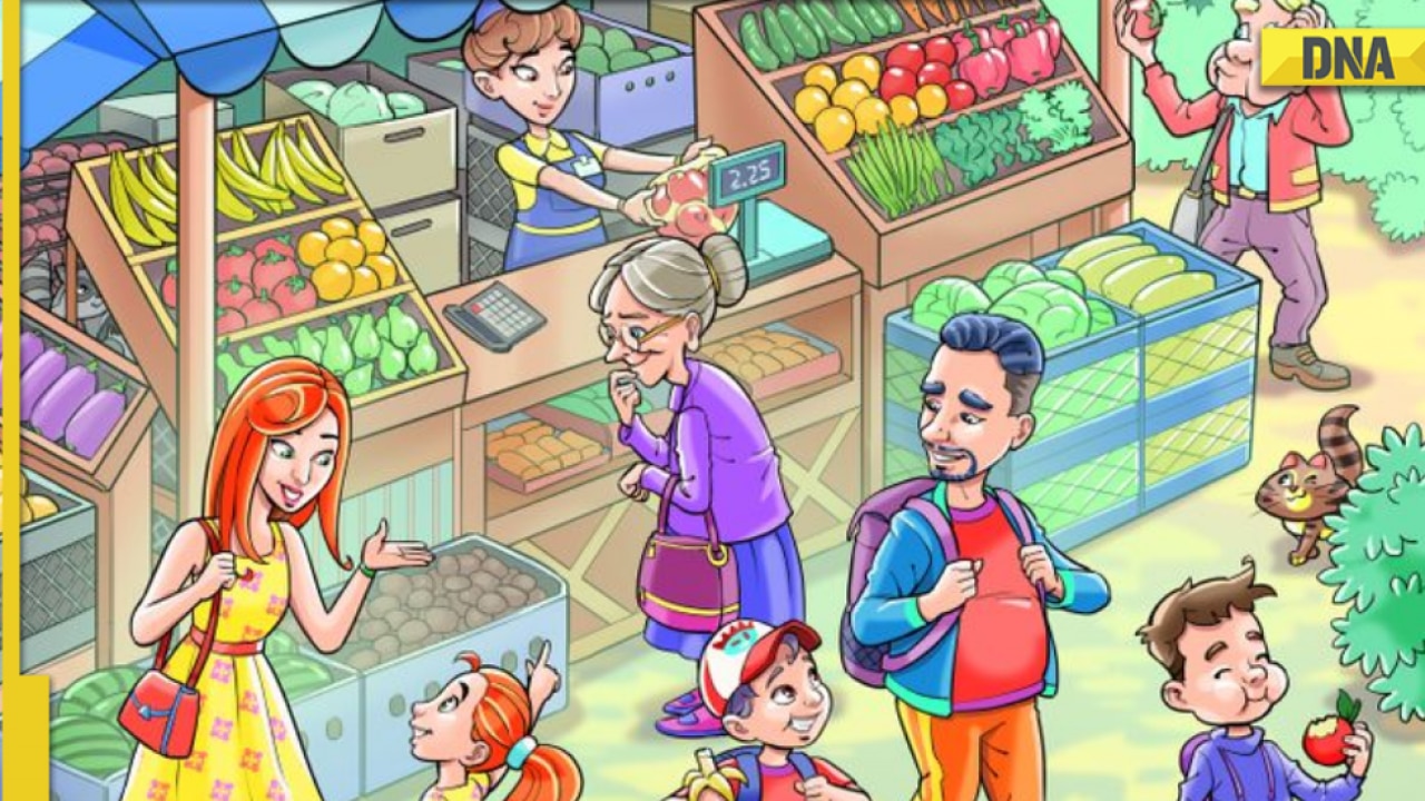 Optical illusion: Only a genius can spot raccoon hidden in THIS image