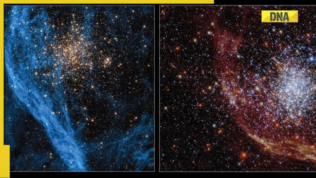 NASA: Hubble Space Telescope captures dual views of unusual star cluster NGC 1850
