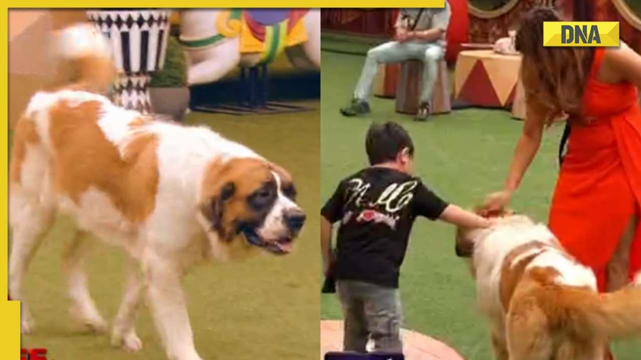 Jacob Boss House Elkhart Indiana at Lauren Murphy blog