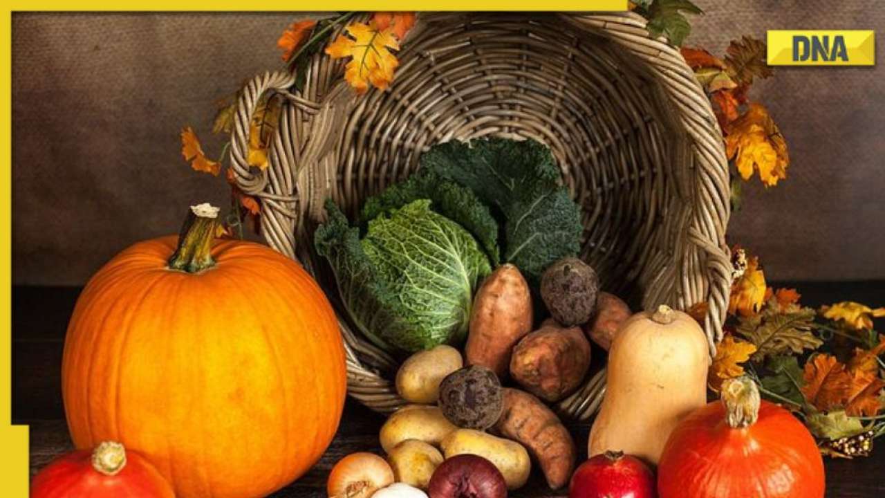 Tips for a healthy and easy transition to a vegan diet