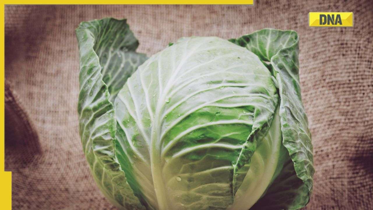 5 healthy reasons to eat green cabbage