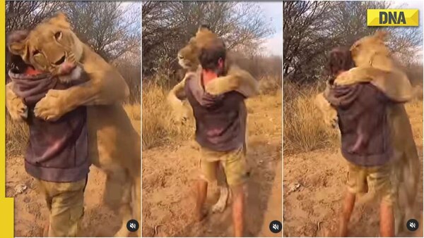 Viral video of lion hugging man will kill your midweek blues, WATCH