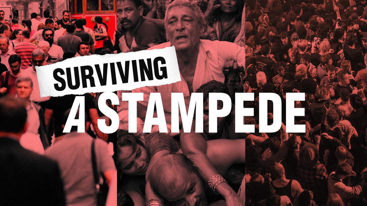 Stampede: When does a crowd turn deadly and how can you survive a crowd ...