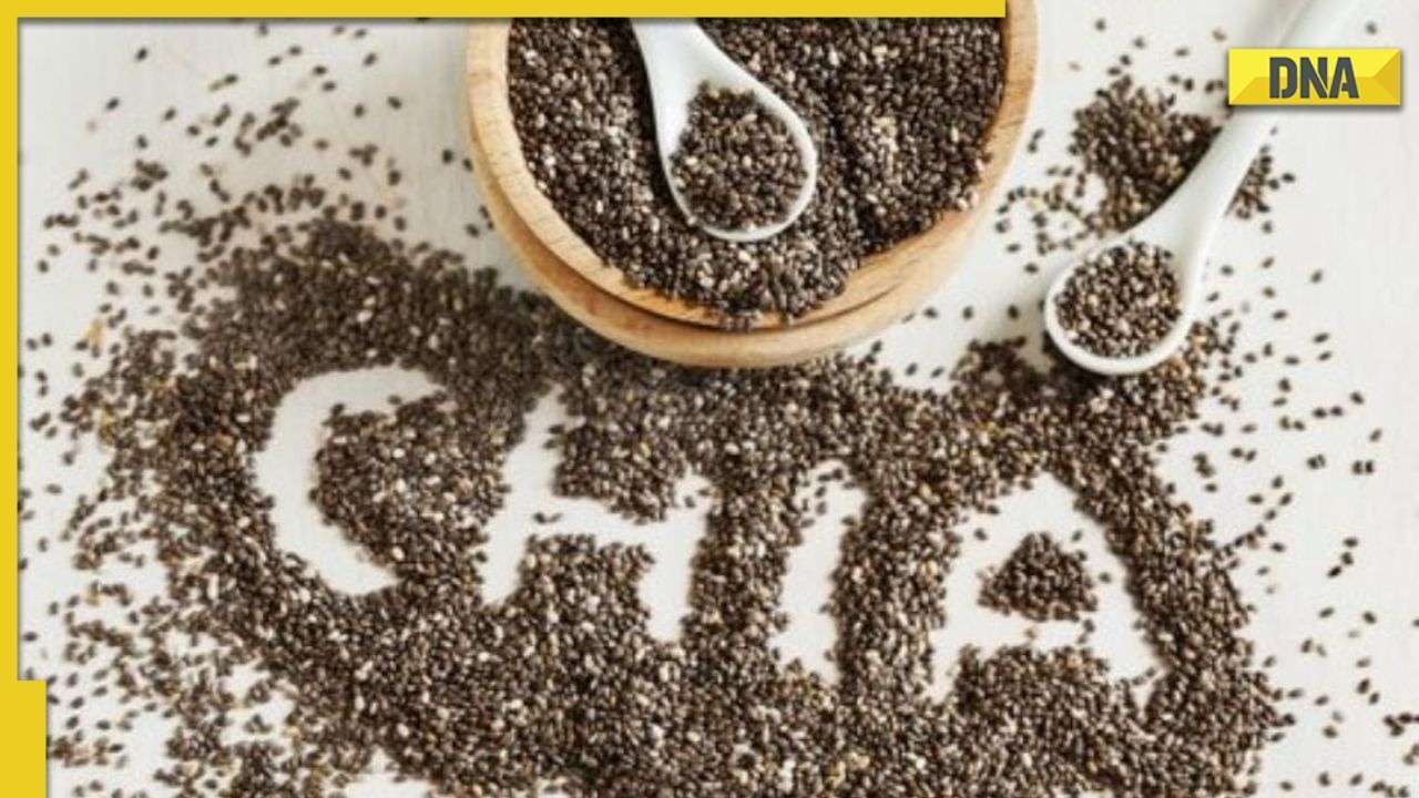 Uncover the power of chia seeds: A nutrient-rich superfood for optimal ...