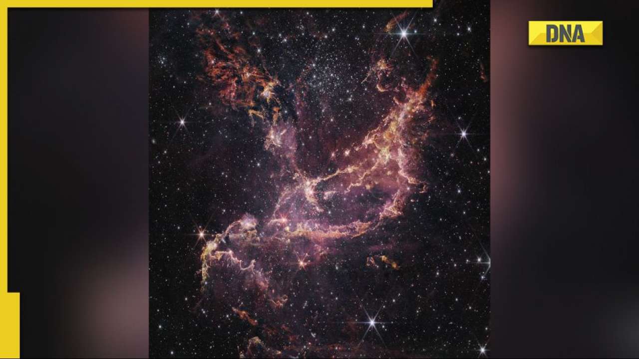 NASA: James Webb Space Telescope discovers star formation in Cluster’s ...