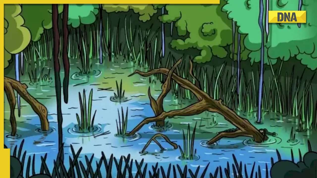 Optical illusion: Only a genius can spot crocodile in THIS image