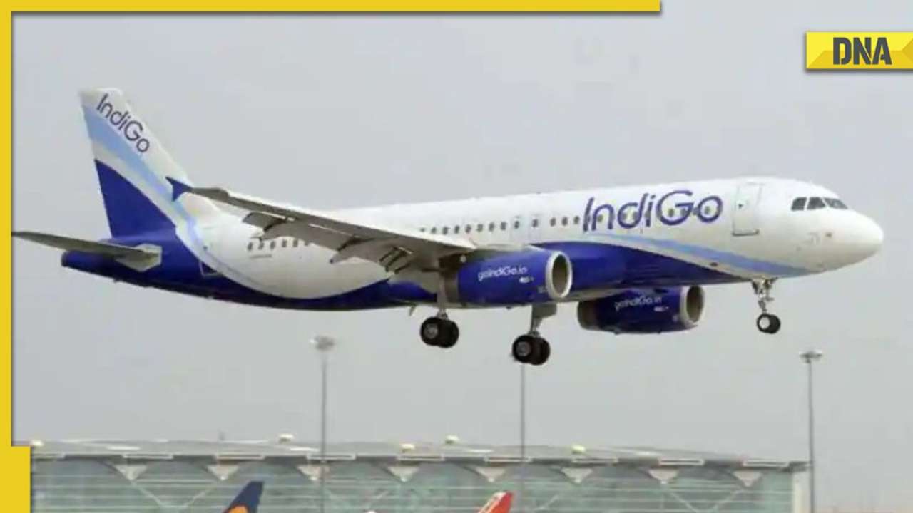 Indigo flight makes emergency landing for blood-puking passenger ...