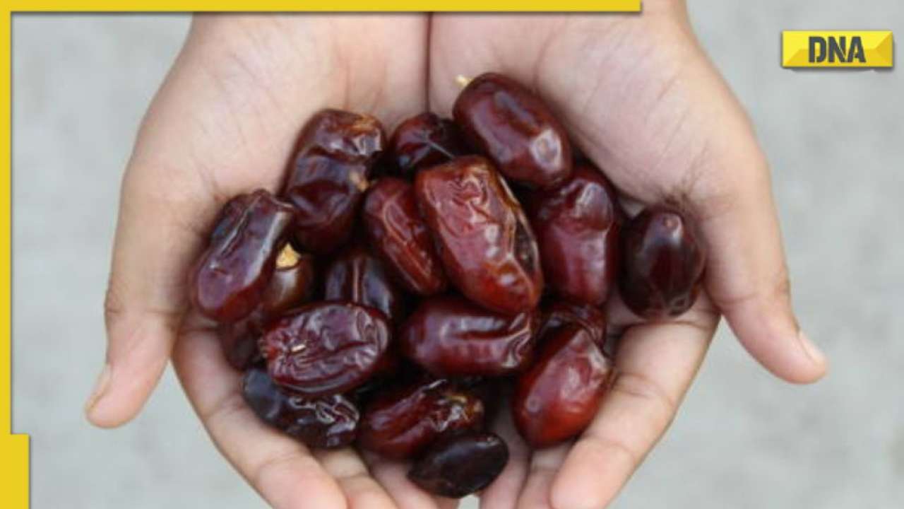 Discover surprising health benefits of Dates: From fiber, antioxidants ...