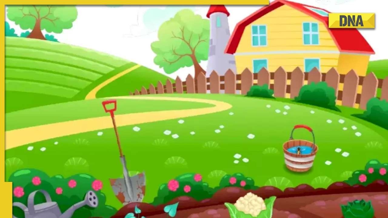Optical illusion: Only 3% people can spot hidden bee in THIS pic