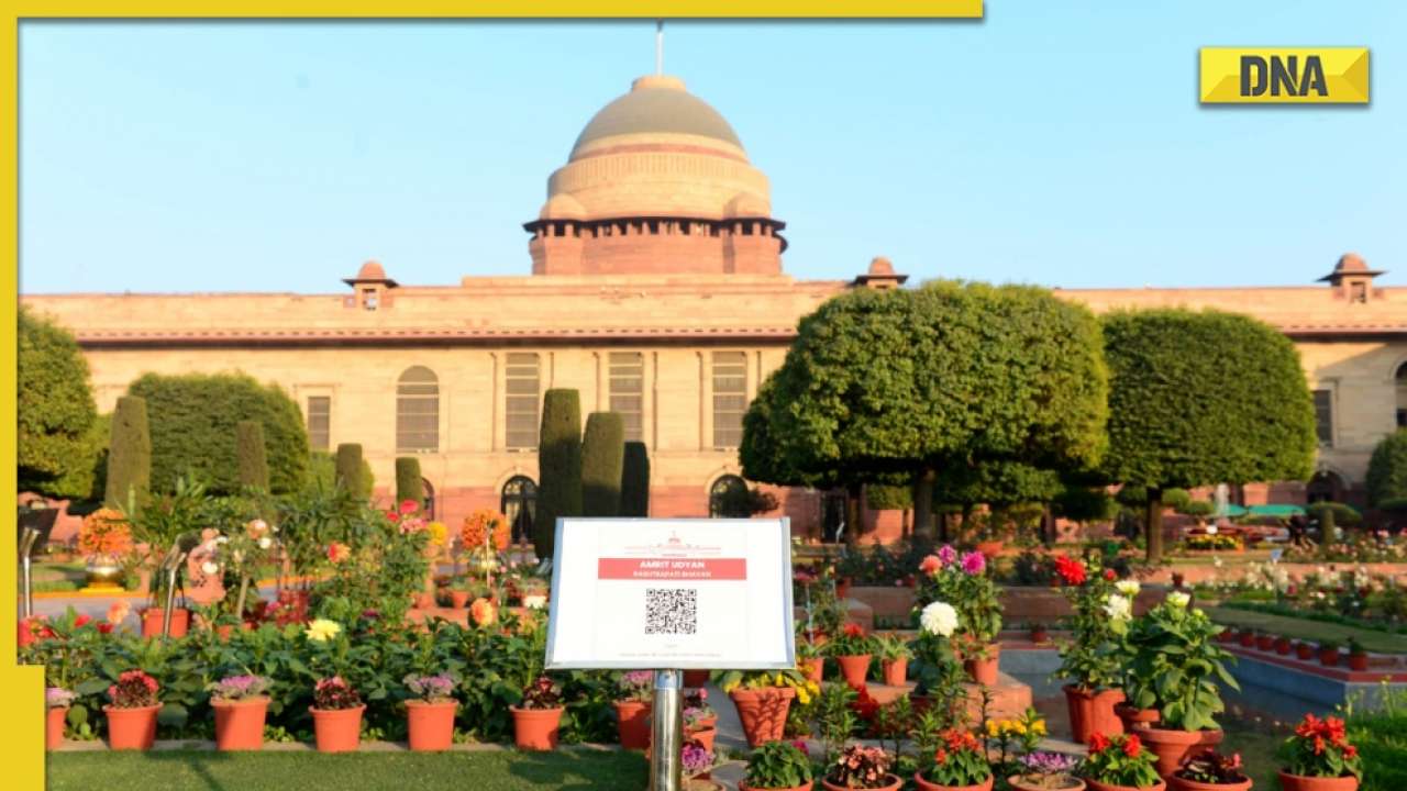 Amrit Udyan at Rashtrapati Bhavan opens for public, here's how you can ...