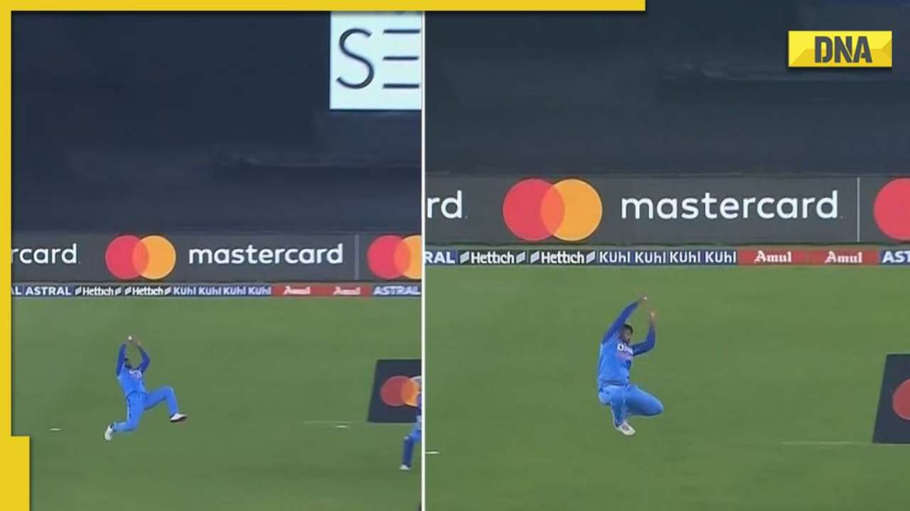 Watch: Suryakumar Yadav takes two stunning flying catches in slip ...
