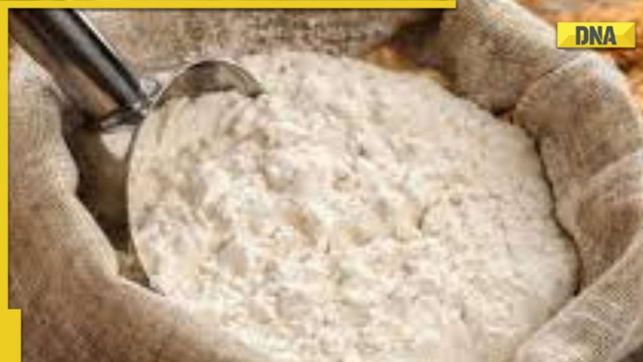 Bharat Atta now available at reduced price: Kendriya Bhandar sells ...
