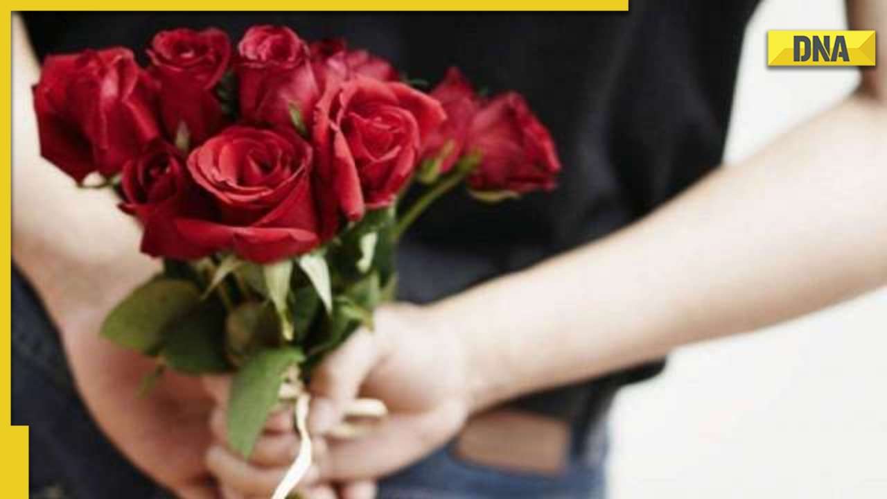 Rose Day 2023: Know significance of first day of valentine's week