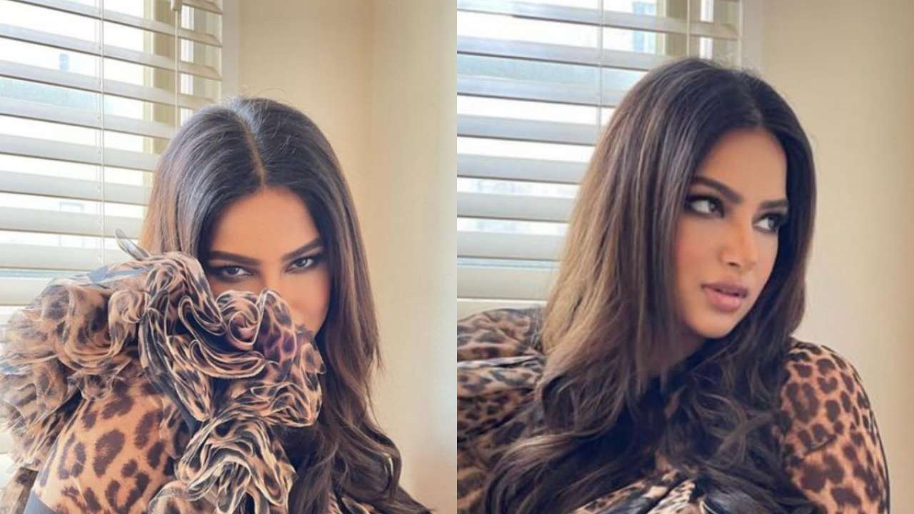 In pics| 5 times Harnaaz Sandhu stunned fans with her glamorous looks