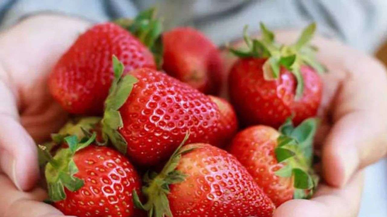 5 potential benefits of spring fruits for a healthy immune system