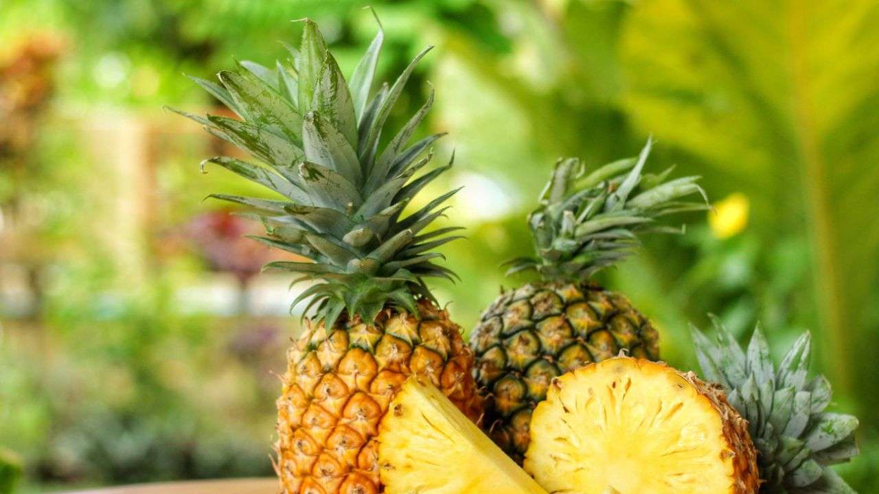 5 potential benefits of spring fruits for a healthy immune system