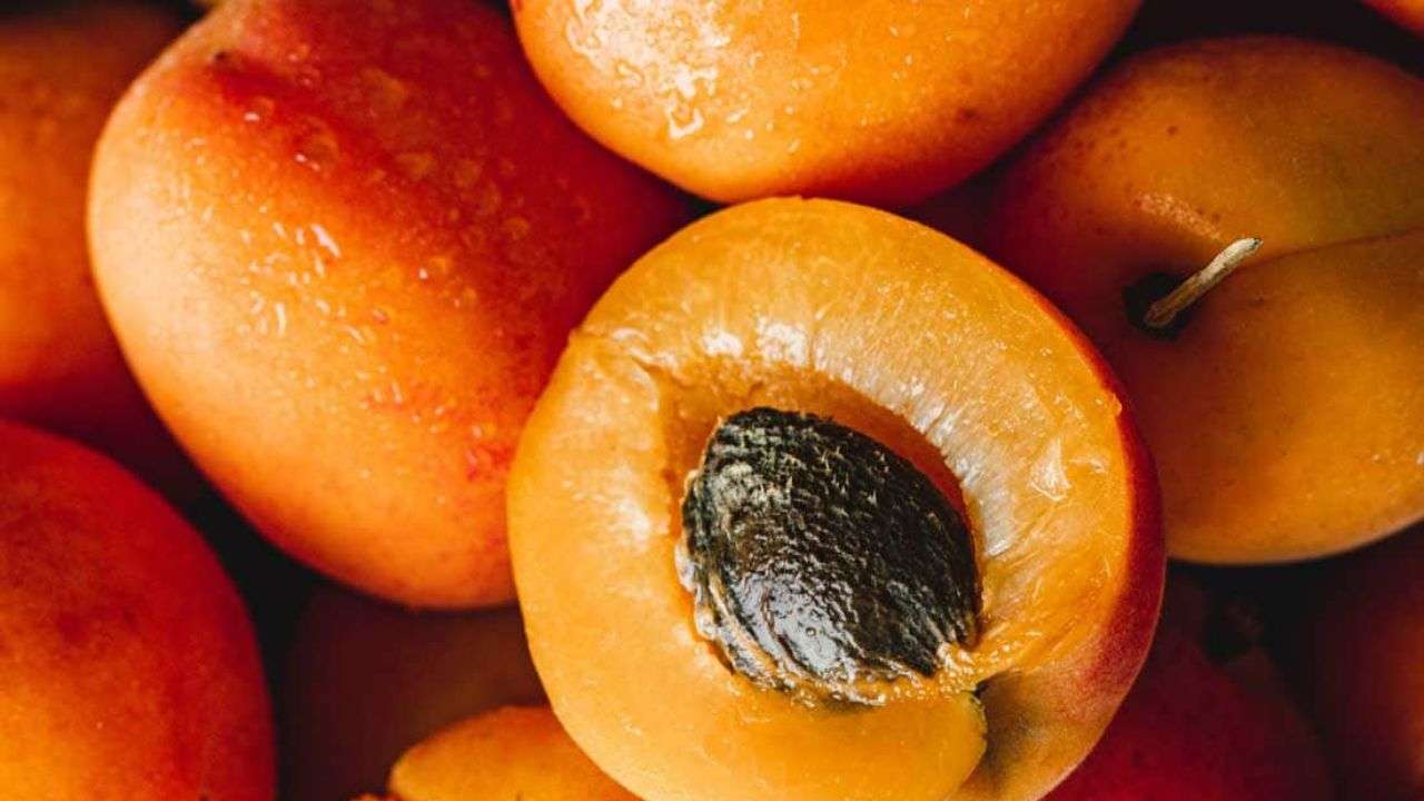 5 potential benefits of spring fruits for a healthy immune system