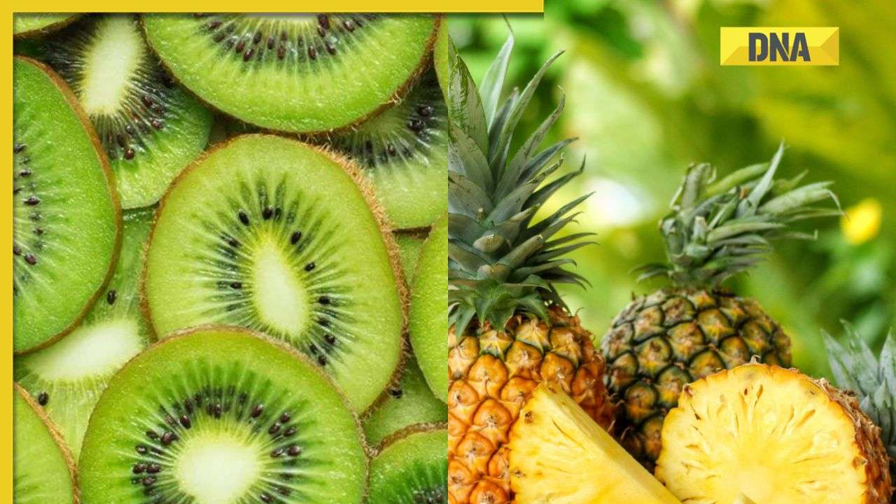 5 potential benefits of spring fruits for a healthy immune system