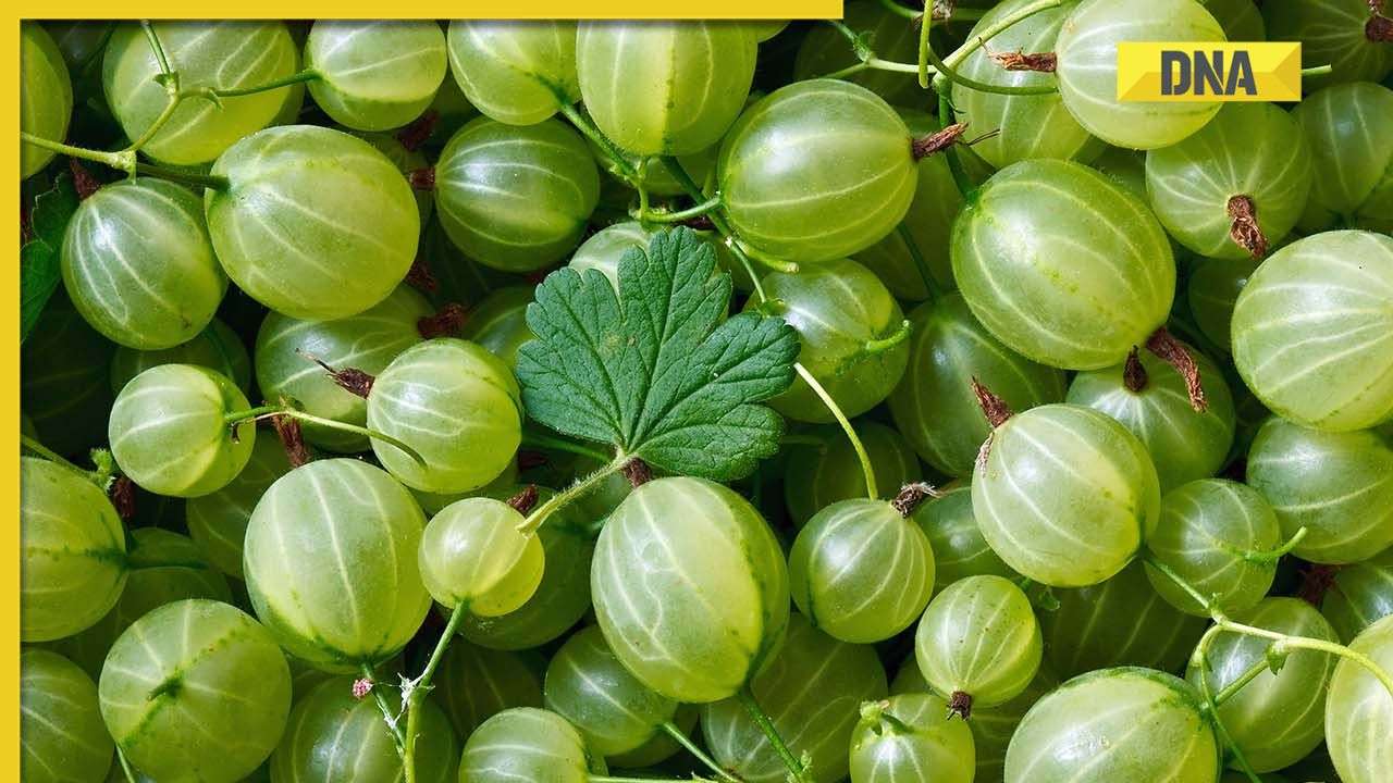 From improving heart health to managing diabetes, here's the benefits ...