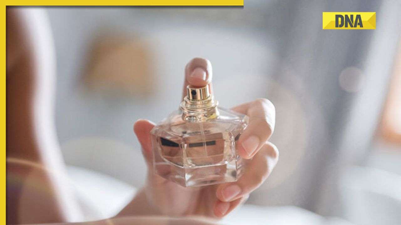 Perfume Day 2023: WhatsApp wishes, messages, quotes, facebook status ...