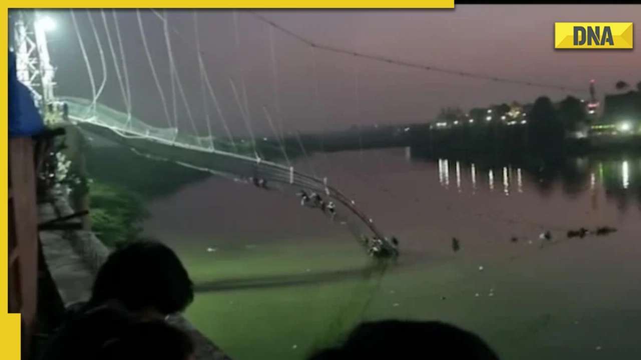 Real reason behind Gujarat Morbi bridge collapse revealed: SIT probe points finger at this company