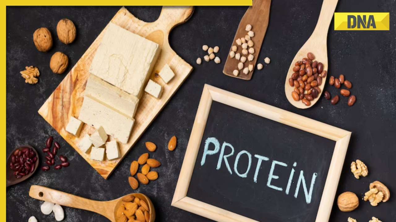 Protein Day 2023: Add these protein-rich foods in your daily diet to ...