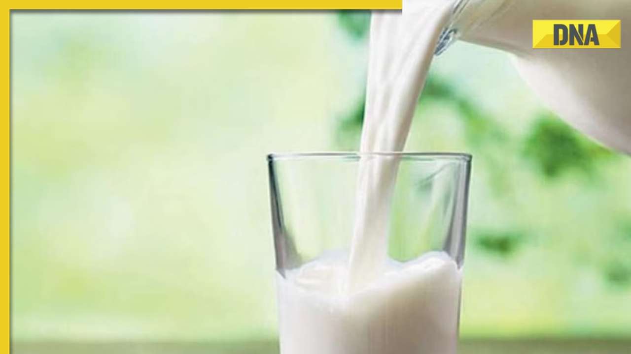 Is drinking raw milk not safe for consumption? Know here