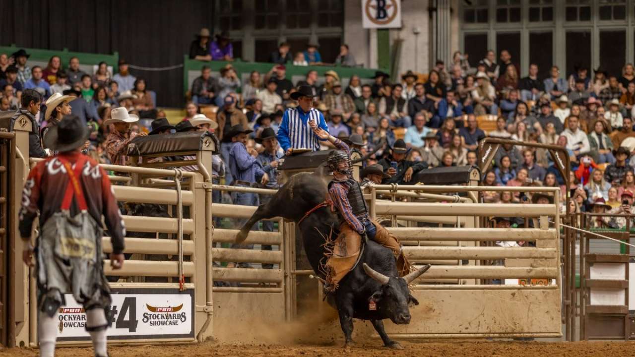 Bull Riding to Big Wave Surfing, take a look at 6 most dangerous sports ...