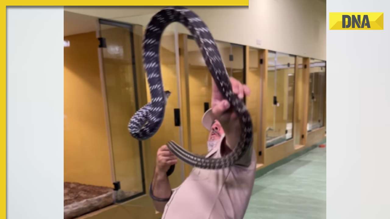 Nine-foot-long snake almost bites zookeeper in spine-chilling viral ...