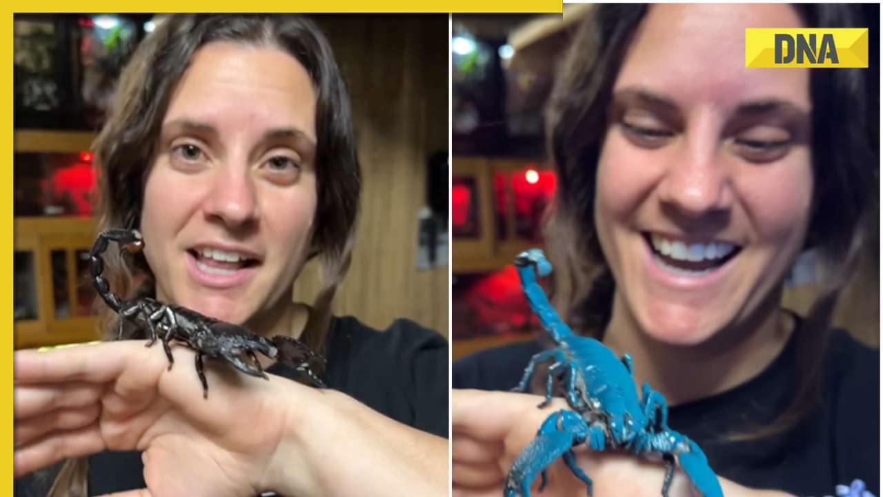 Viral video of color-changing scorpio leaves netizens mesmerized