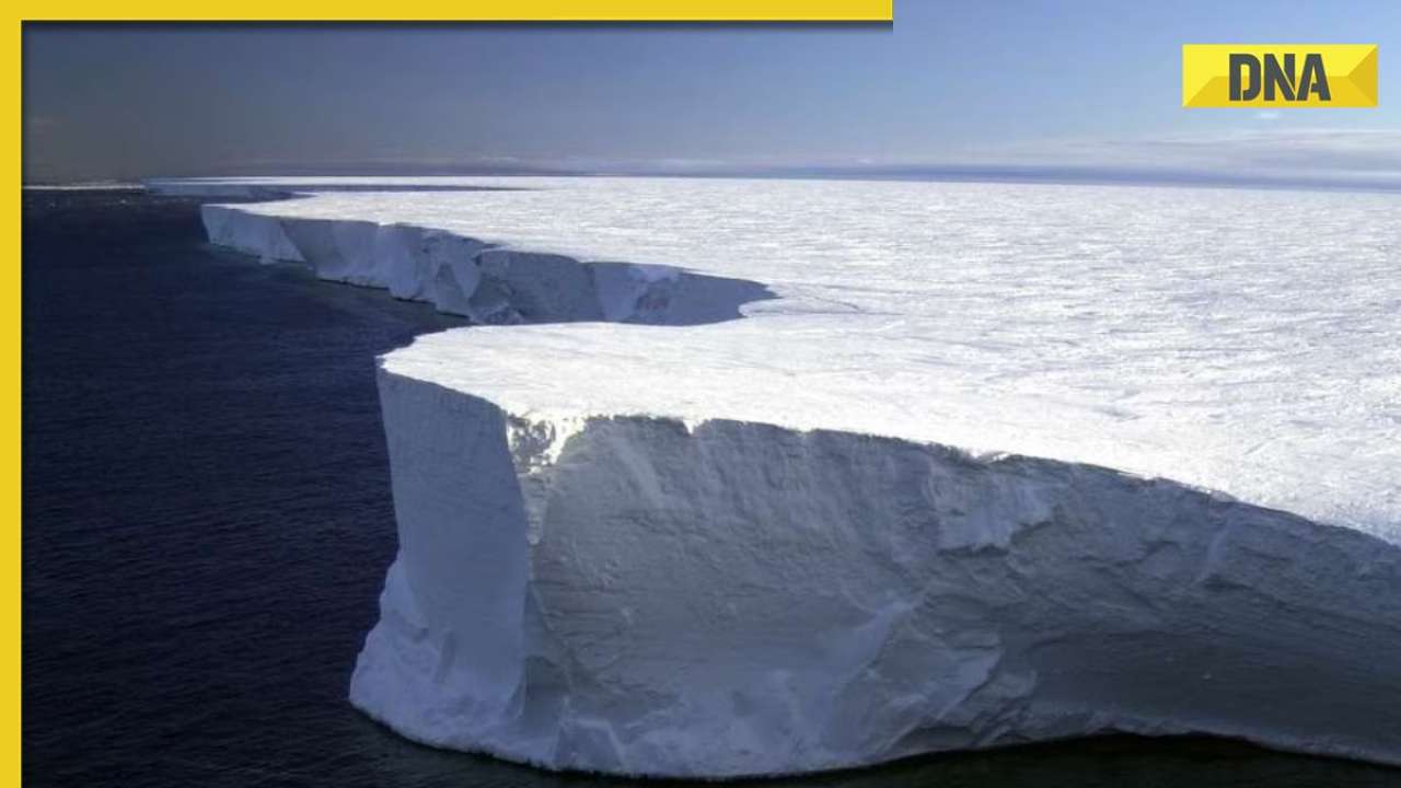 Iceberg larger than size of Delhi: Scientists issue warning, may impact...