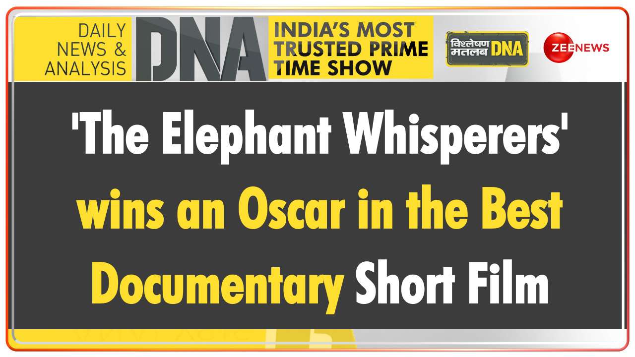 DNA | 'The Elephant Whisperers' wins an Oscar in the Best Documentary ...