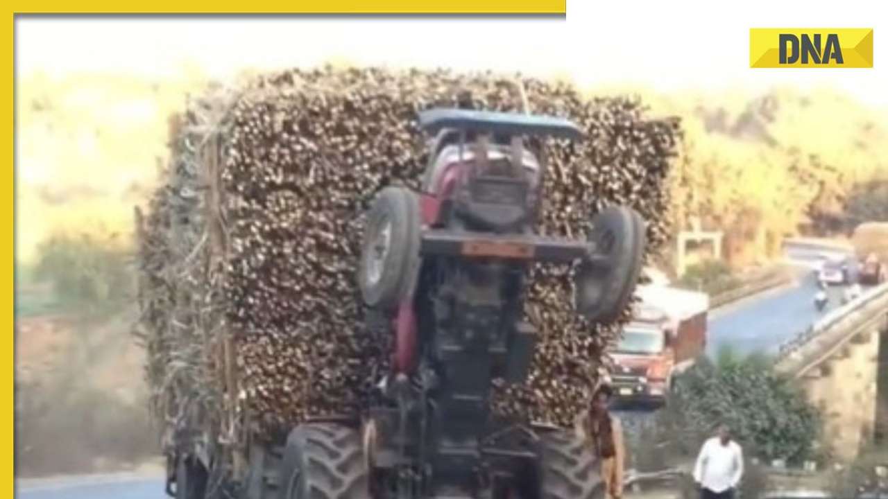 'Scenes, only in India': Heavy load lifts up tractor, but driver keeps ...