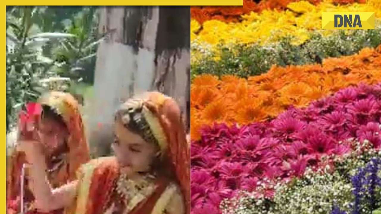 Know history behind Uttarakhand's spring festival Phool Dei: Why is it ...