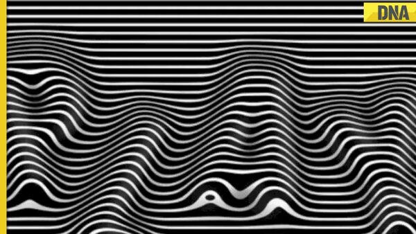 Optical illusion: Which word you can see in THIS image