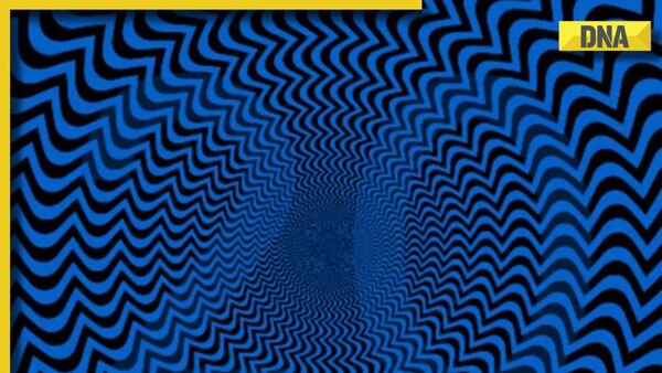 Can you spot the hidden number in THIS optical illusion?