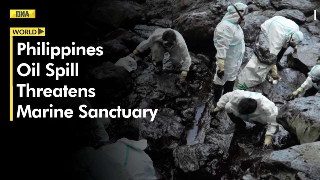 Industrial oil spill reaches the marine corridor of Isla Verde ...