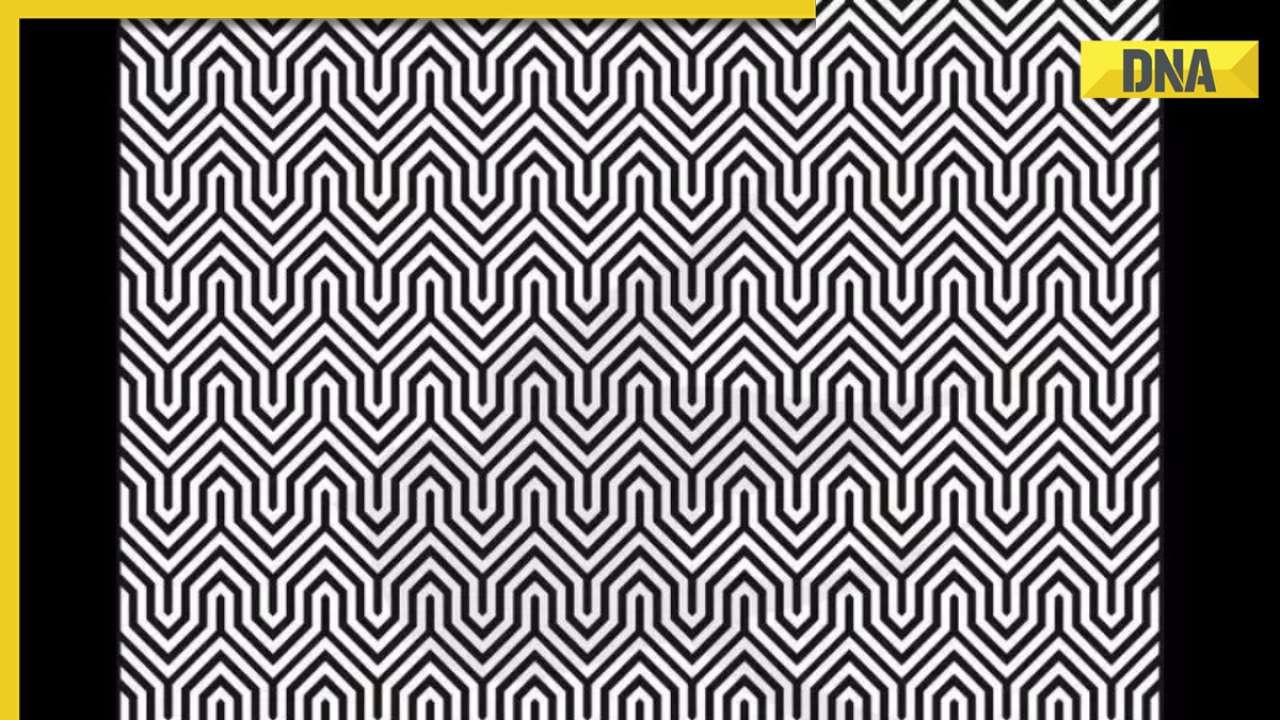 Can you spot hidden animal in THIS optical illusion?